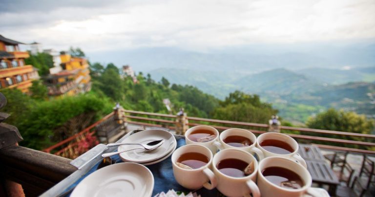 Nepali Tea Wonders: Exploring Traditions of Teas in Nepal